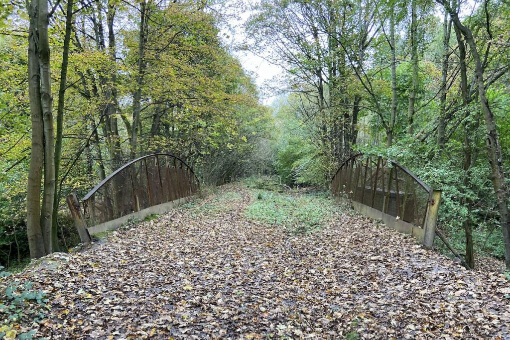 Walk the Baggeridge Country Park Colliery Trail - Discover its history
