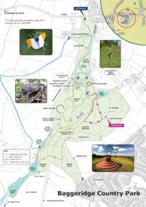 Walk the Baggeridge Country Park Colliery Trail - Discover its history