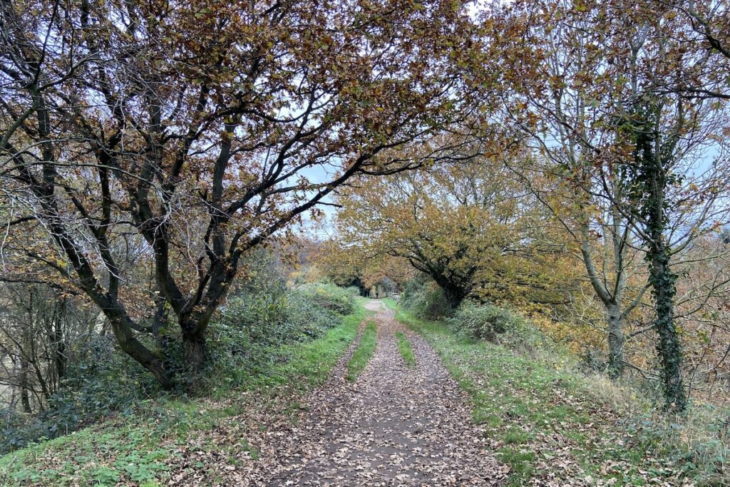 Walk along the Leapgate Old Railway - Discover its history