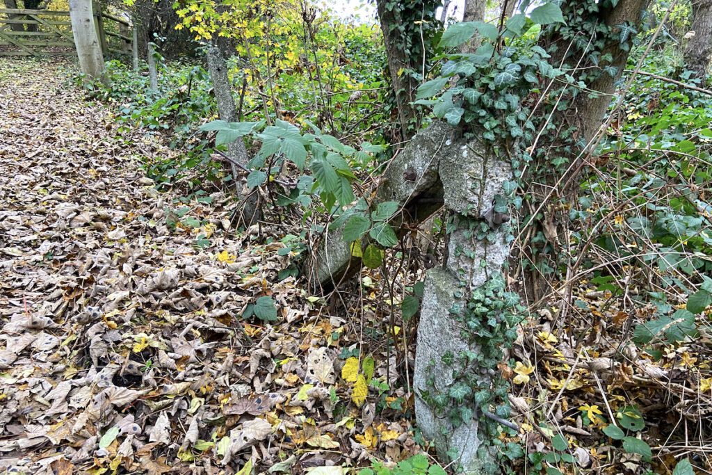 Walk along the Leapgate Old Railway - Discover its history